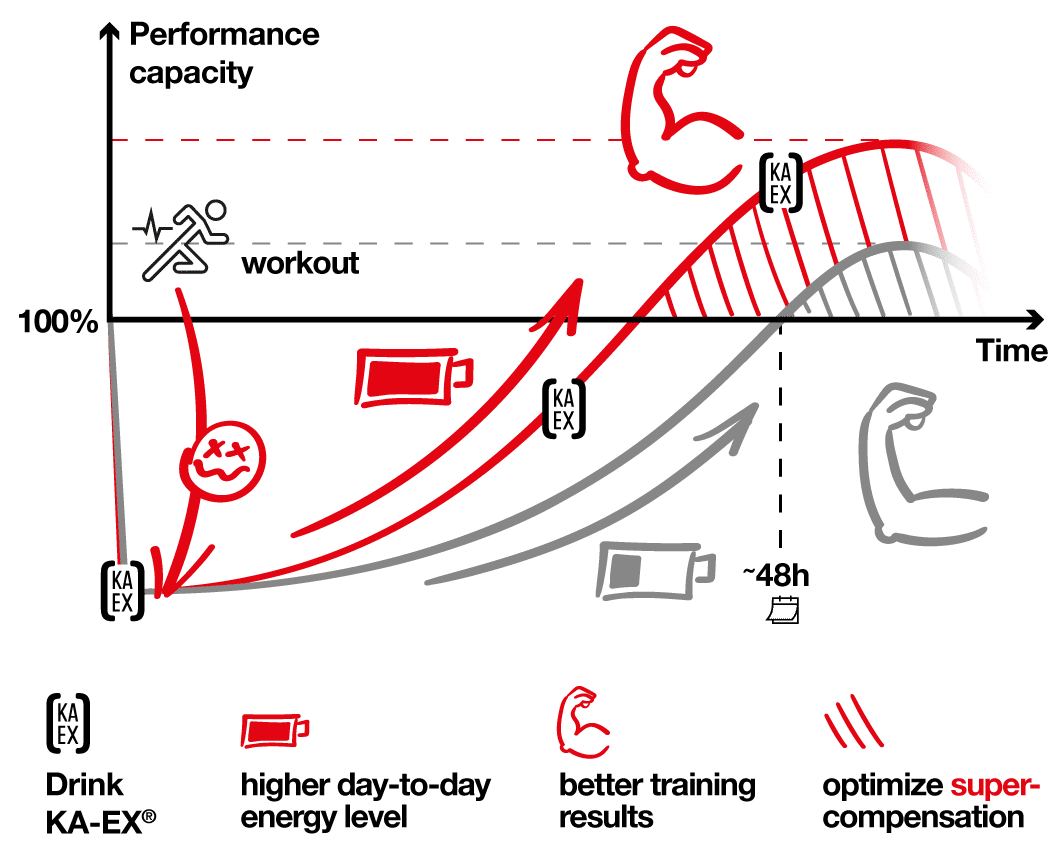 KA-EX | clinically tested solution that optimizes supercompensation